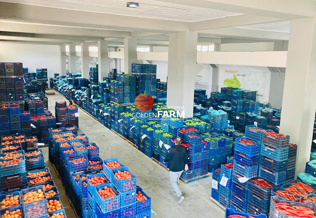 Golden Farm 1 – Golden Farm